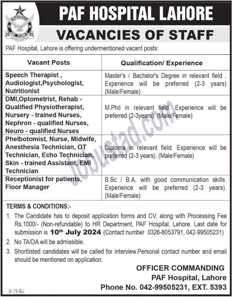 PAF Jobs 2024 Online Apply at www.joinpaf.gov.pk - Smart Jobs PK